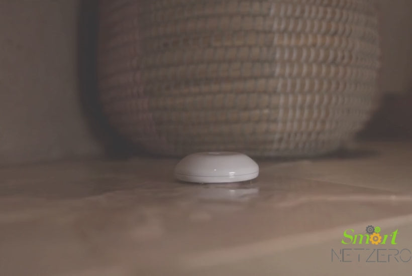 Leak Defense Automation Consult – Smart Net Zero